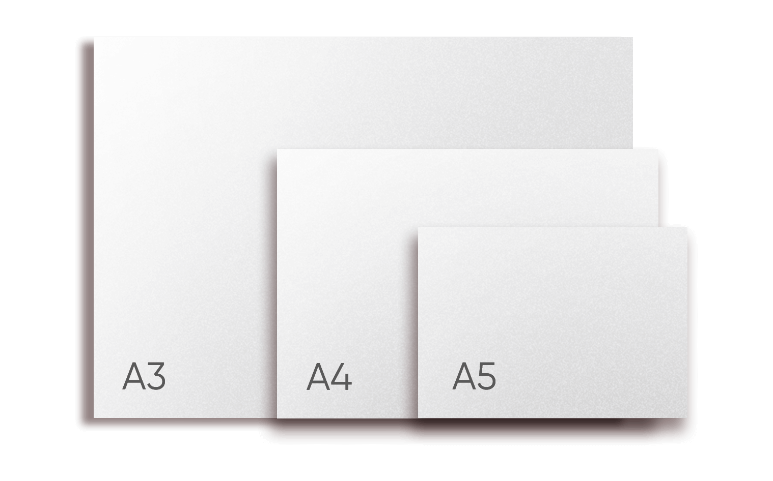 Deco Pro MW / LW / XLW Gen2 -16K - Presale | XP-Pen Philippines ...